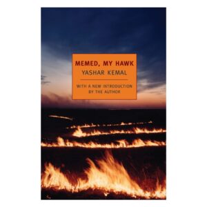 Top 10 Turkish Authors And Best Books About Turkey - Cultural Reads